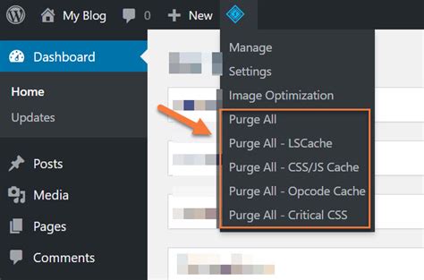 How To Clear LiteSpeed Cache In WordPress