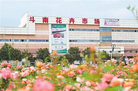 昆明呈贡斗南片区精品旅游路线确定 新华网