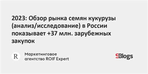 2023 Обзор рынка семян кукурузы анализ исследование в России