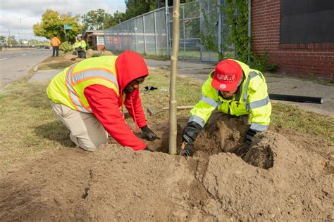 Community Transformation Empowering Michigan