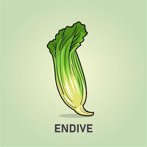 Une Endive Dessin Animé Très Frais Vecteur Premium