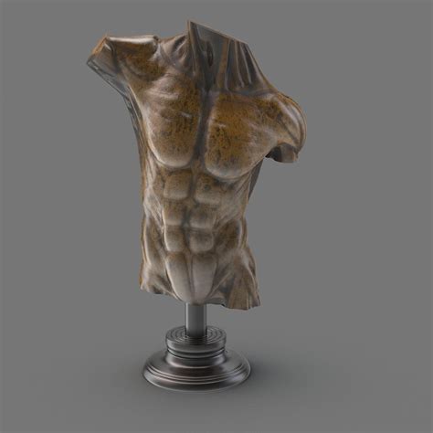 남성 몸통 3d 모델 39 3ds Fbx Obj Max Free3d