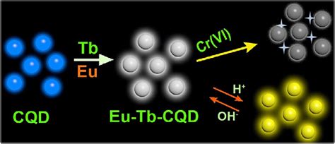 Schematic Representation Of White Light Emitting Lanthanide Based Download Scientific Diagram