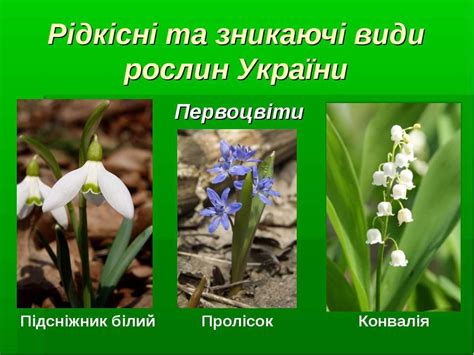 Червонокнижні рослини і тварини України