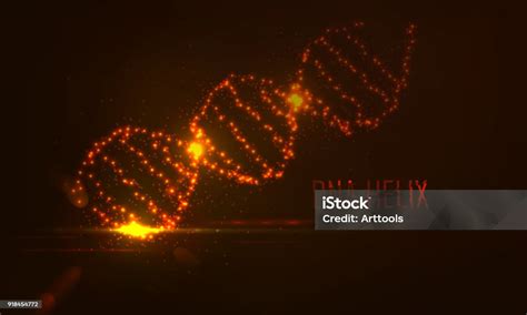 發光的圓圈和粒子的 Dna 形狀的抽象向量圖形及更多健保和醫療圖片 健保和醫療 光 分子 Istock