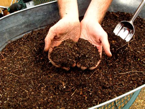 El Compost Casero Un Abono Natural Para Nuestras Plantas ~