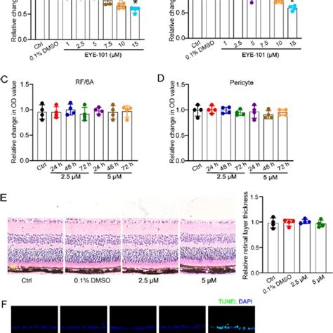 Eye 101 Suppresses Laser Induced Choroidal Neovascularization And Download Scientific Diagram