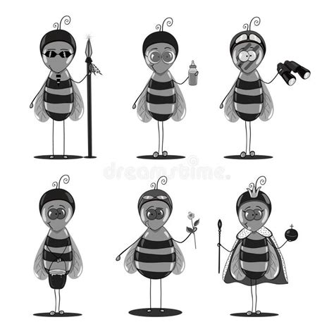 Classification Of Bees Collected Large Set Stock Vector Illustration