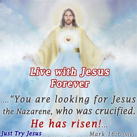 Open Source Framework For Publishing Content Artofit