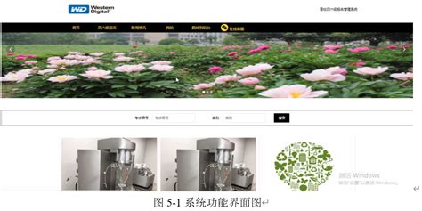高校四六级报名管理系统基于jsp技术 Mysqljava Bs结构的高校四六级报名管理系统设计与实现可运行源码数据库设计文档