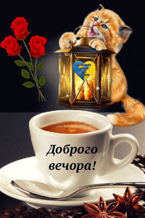 Pin Di Роман Su доброго вечора