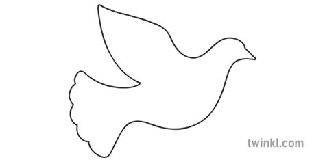 Peace Dove Illustration Twinkl