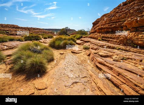 Hiking In Kings Canyon On A Sunny Day Watarrka National Park Northern