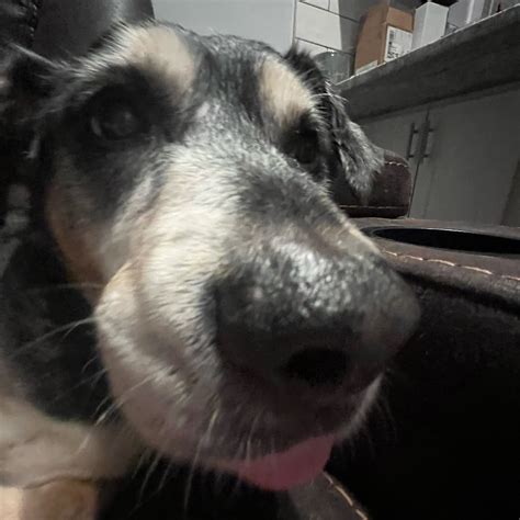 Peyton Wagner Youtube