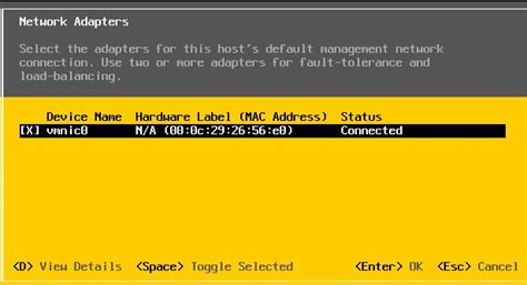 Configuring IP Address For ESXi Host Wintual