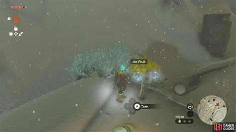 Ice Fruit The Legend Of Zelda Tears Of The Kingdom Database Gamer
