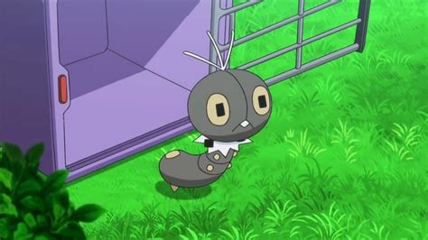 Scatterbug Evolution Guide Stats Moves Type And Location Cheat Code Central Scatterbug Evolution Guide Stats Moves Type And Location Cheat Code Central