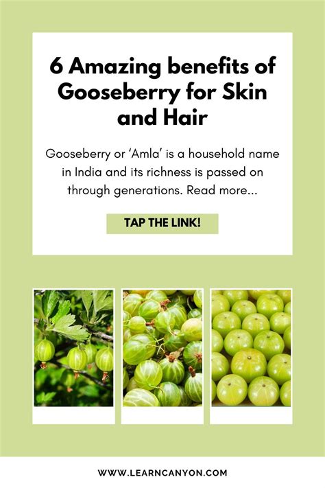 6 Amazing Benefits Of Gooseberry For Skin And Hair
