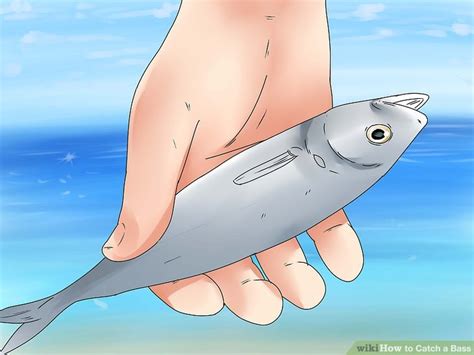 3 Ways To Catch A Bass Wikihow