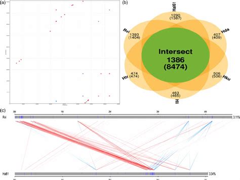 The Comparative Genomic Analysis Of Genome Bacillus Velezensis