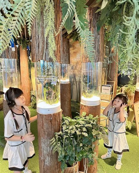 「台北101大樓」台灣第一高樓、暑期親子之旅、夢幻花卉秘境、高空親子體驗、觀景台寫生！ 現在夯什麼