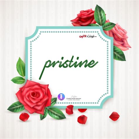 Pristine متن نگار