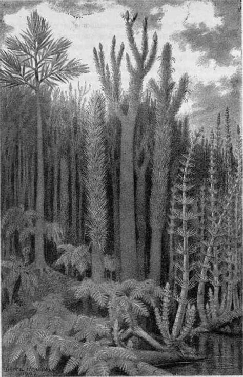 Carboniferous Life