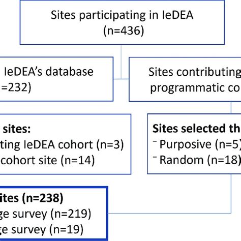 Survey Development Process 2019 2021 Download Scientific Diagram