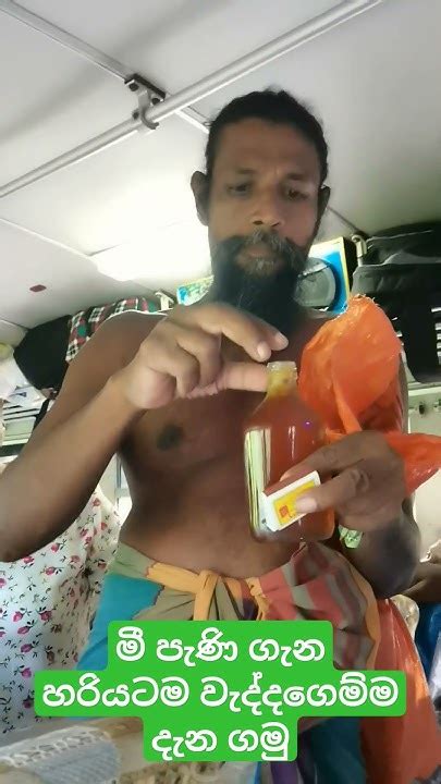 මී පැනි ගැන හරියටම දැනගන්න Youtube