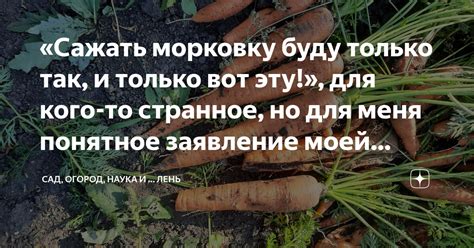 «Сажать морковку буду только так и только вот эту для кого то
