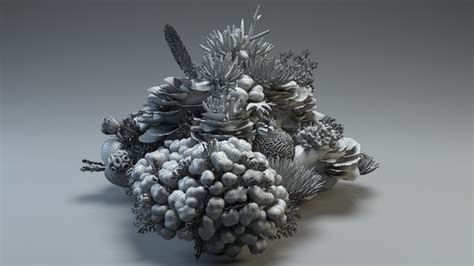 Coral Reef 01 3d Turbosquid 1486307