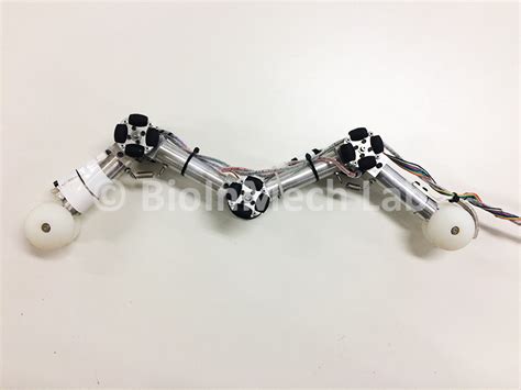Bioinmech Lab Ritsumeikan University Japan 生物知能機械学研究室，立命館大学