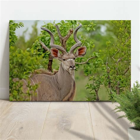 Bringing The Wild Into Your Home With The Coolest Antelope Wall Art