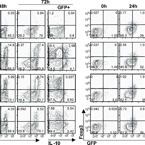 Ror T T Cells Include Th17 And Foxp3 T Reg Cells A And B Flow Download Scientific