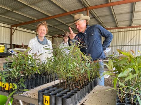 Practical 5 Linear Models Analysis Of Variance Anova Sampling Design And Analysis In