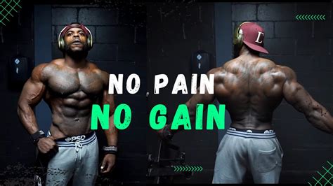 No Pain No Gain 💪 Gym Motivation Gym Bees Youtube