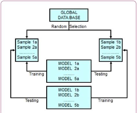 Validation Protocol Scheme For ANN Download Scientific Diagram