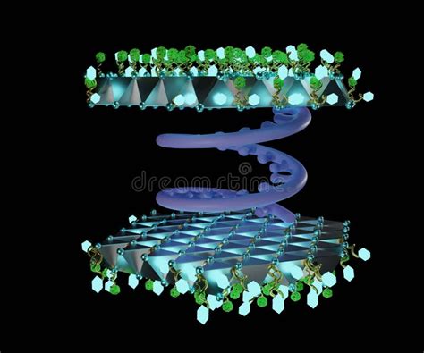 Transferosomes Stock Illustrations 5 Transferosomes Stock Illustrations Vectors And Clipart