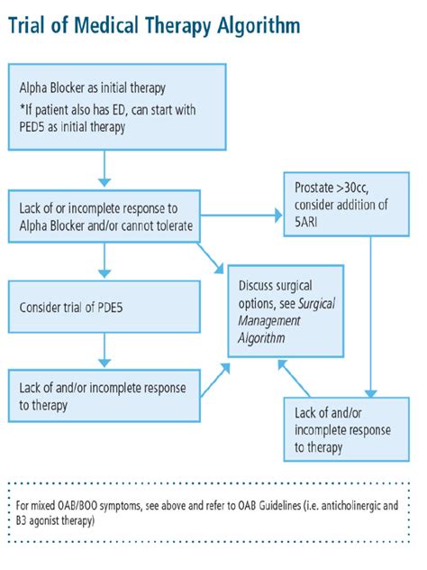 Bph Trial Of Medical Therapy Algorithm Pdf