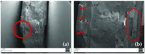 Sem Analysis Of The Sintered Samples Fracture Surface A Initial Download Scientific Diagram