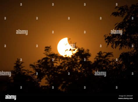 Solar Eclipse 2022 Dramatic Poetic Dystopian Moody Astronomical Event
