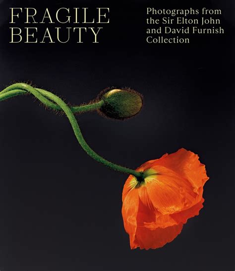 Fragile Beauty Hardcover Abrams
