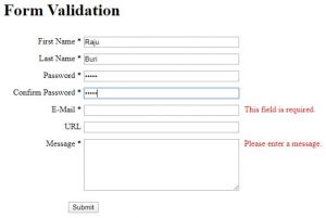 Jquery Form Validation Complete Guide To Jquery Form Validation