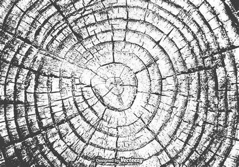 Free Tree Rings Vector Texture Download Free Vector Art Stock