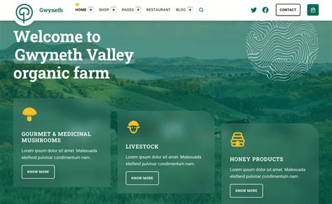 Best WordPress Block Themes For Envato Tuts