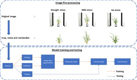 confusion matrixes of lightweight cnn models download scientific diagram