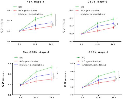 Microrna 497 Prevents Pancreatic Cancer Stem Cell Gemcitabine