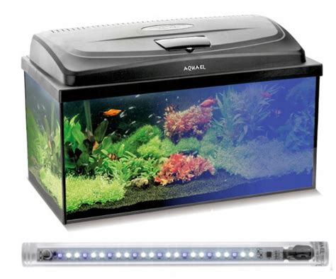 Aquael Classic Box 40 Akwarium Proste 41x25x25 cm 25L z Pokrywą LED 7W