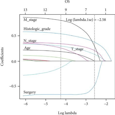 Used Lasso Cox Regression Model To Filter Predictor Variables For Os