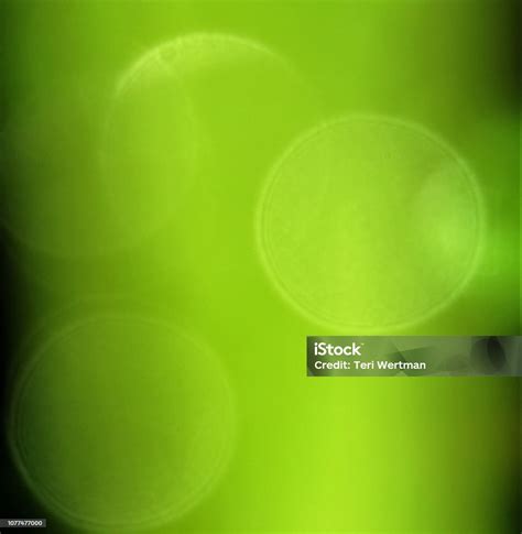 와 같은 다양 한 배경 용암 바위 벽에 이끼 풀 잎에이 슬 방울 이끼 가까이의 클로즈업을 석양 모래 잎 잔디 W 아침 빛 화산